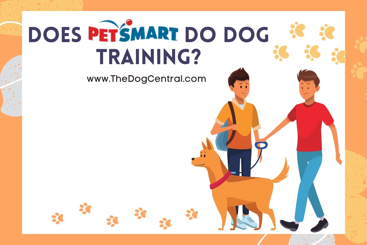 Does Petsmart Do Dog Training Detail Information 