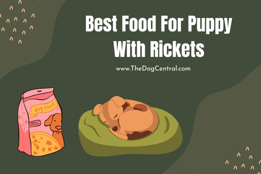 Best Food For Puppy With Rickets | The Dog Central