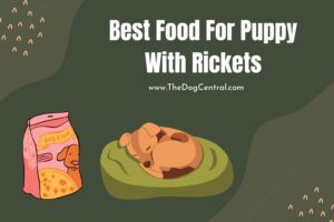 Best Food For Puppy With Rickets | The Dog Central