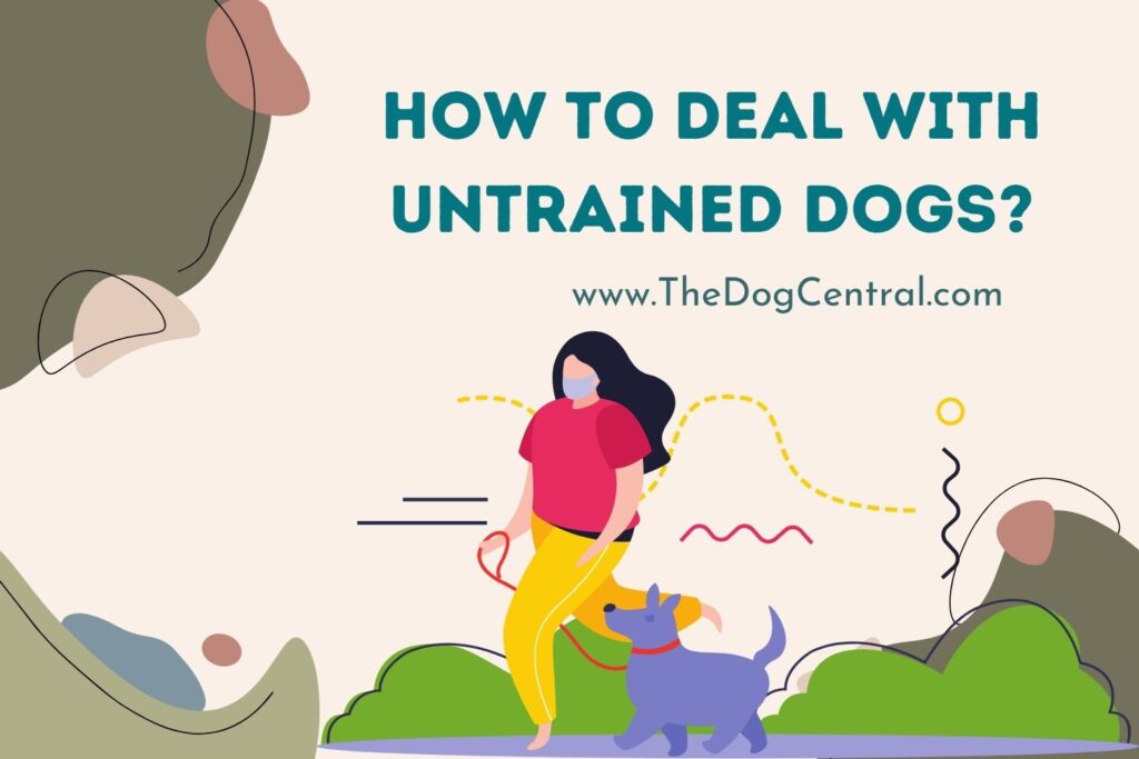 How to Deal With Untrained Dogs? | The Dog Central