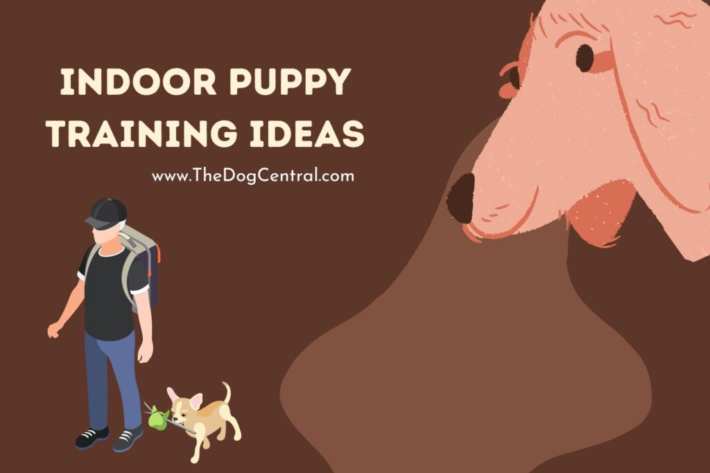 Indoor Puppy Training Ideas The Dog Central