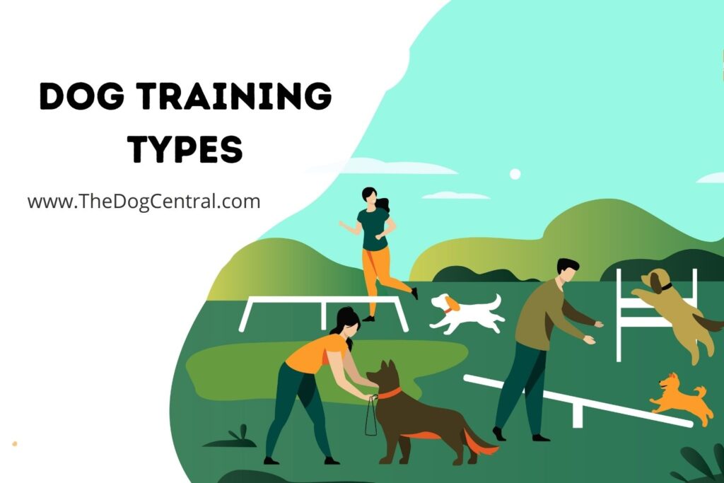 Different Types of Dog Training Methods | The Dog Central
