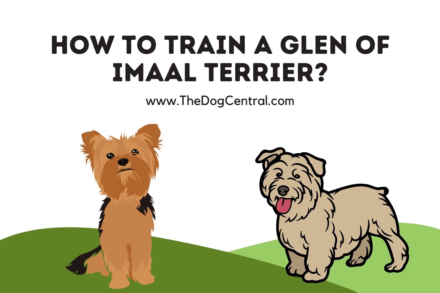 How To Train A Glen Of Imaal Terrier The Dog Central