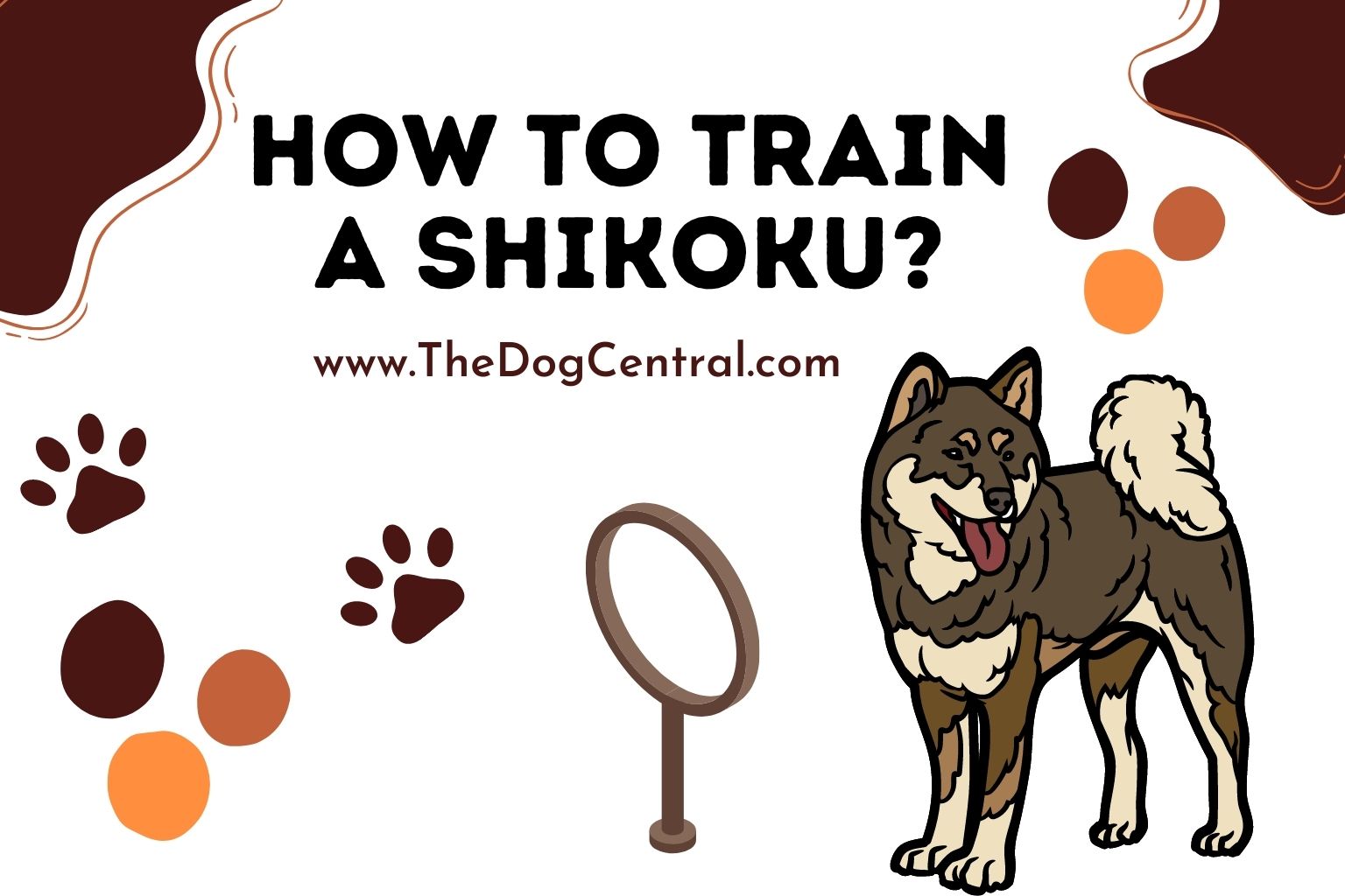 How To Train A Shikoku The Dog Central