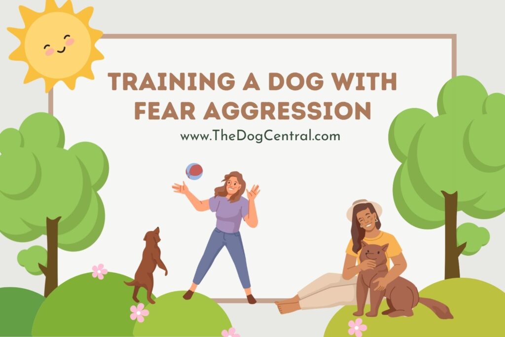 Training a Dog With Fear Aggression | The Dog Central